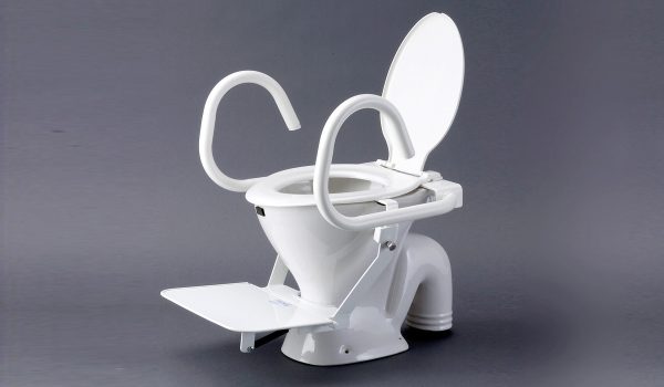 Children's Rail - Throne Accessories